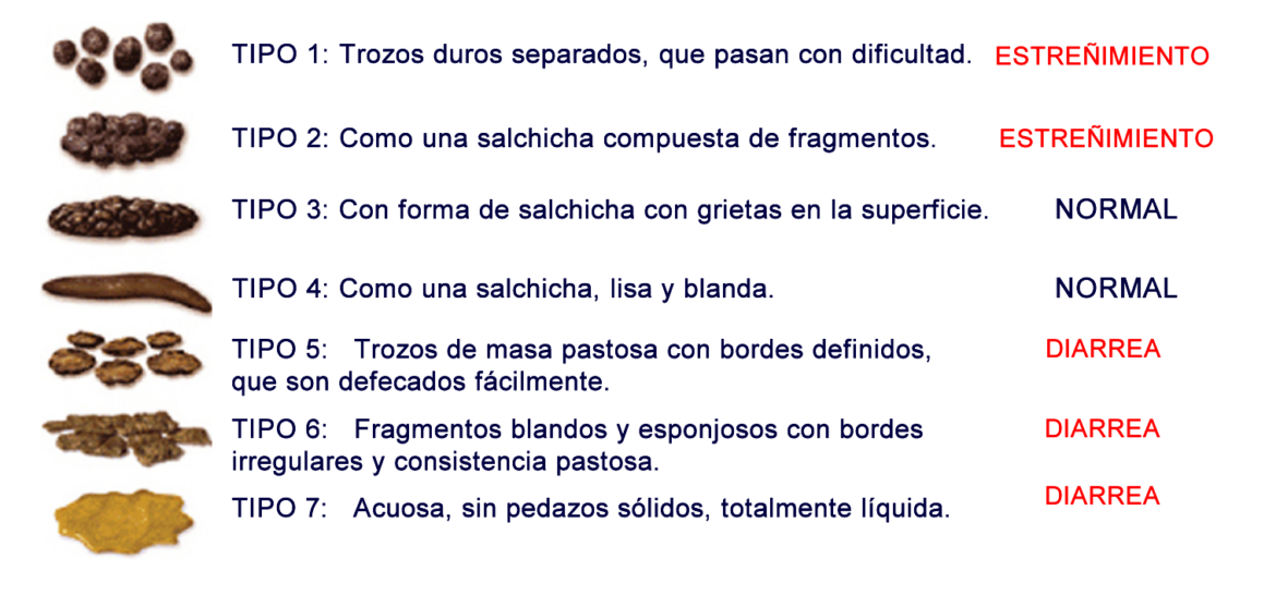 Qué comer cuando tienes diarrea: los mejores consejos - Salud Diez