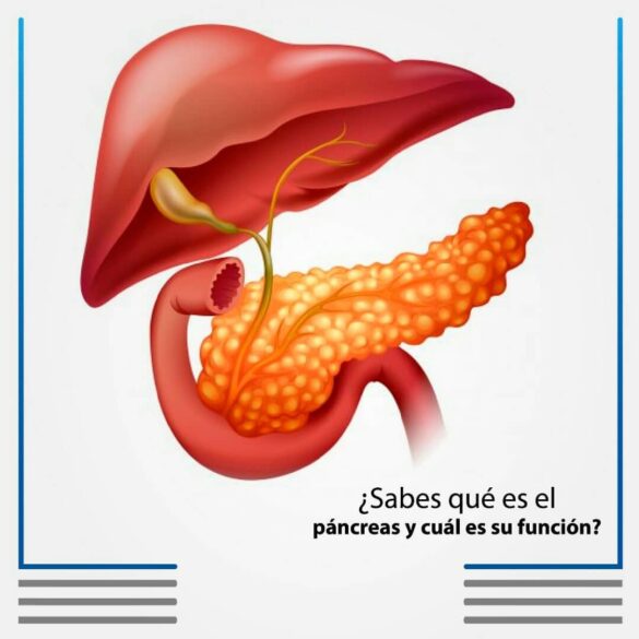 Pancreatitis Aguda y Crónica ¡Conoce la diferencia y que es cada una!