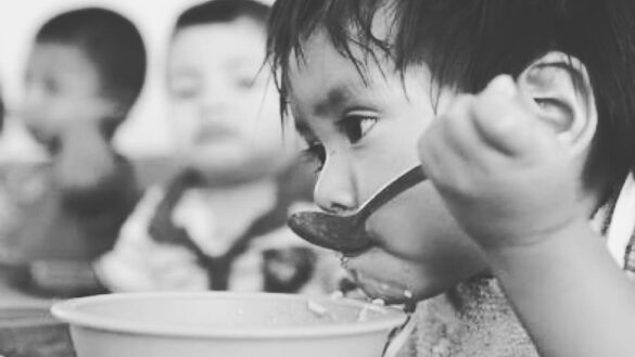 Marasmo ¿Que relación e importancia tiene con la nutrición?