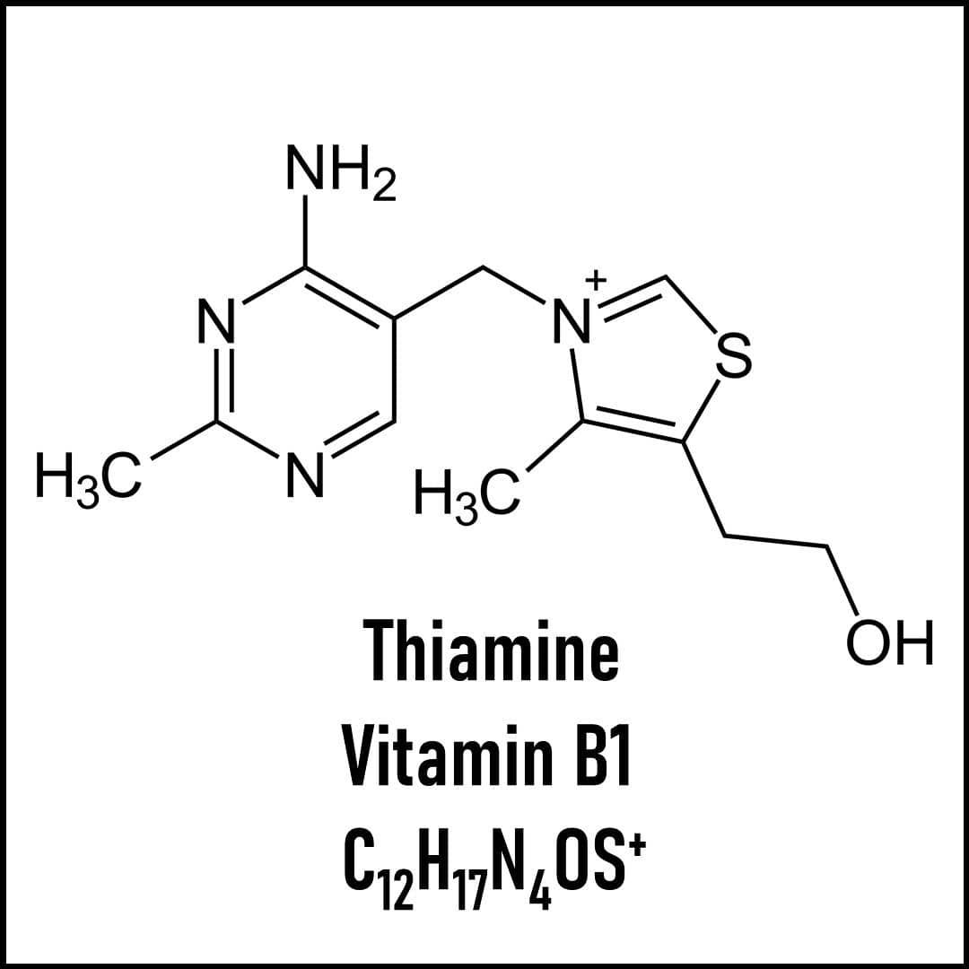 Lo que debes saber sobre... ¡La vitamina B1! - Salud Diez