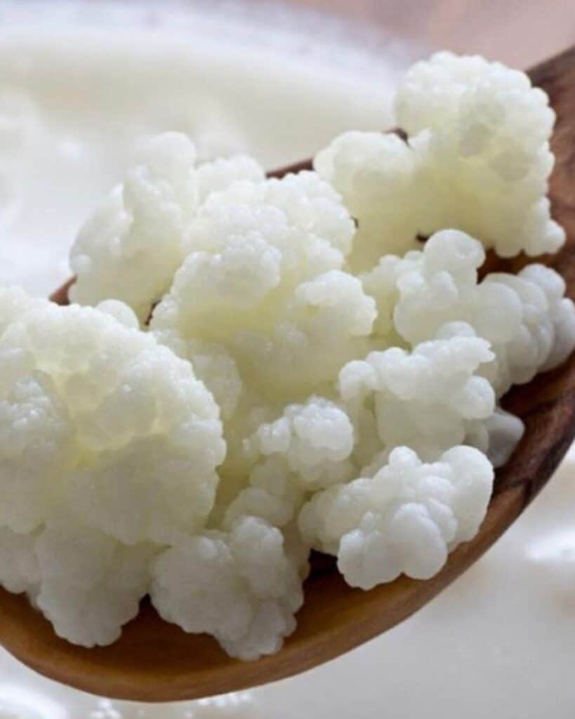 Beneficios del Kéfir: ¡descubre este superalimento! - Salud Diez