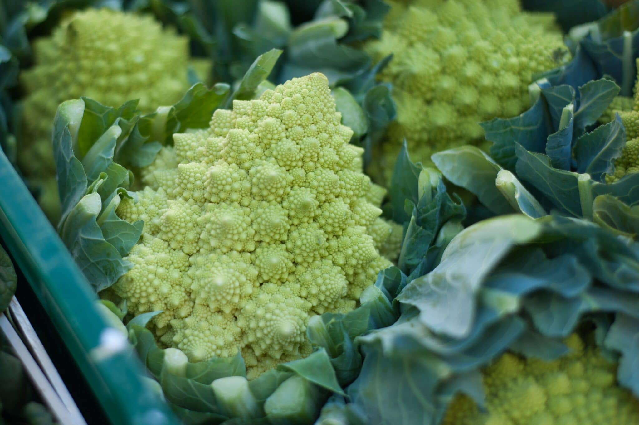 Propiedades del brócoli. Conoce sus beneficios NUTRICIÓN Salud Diez