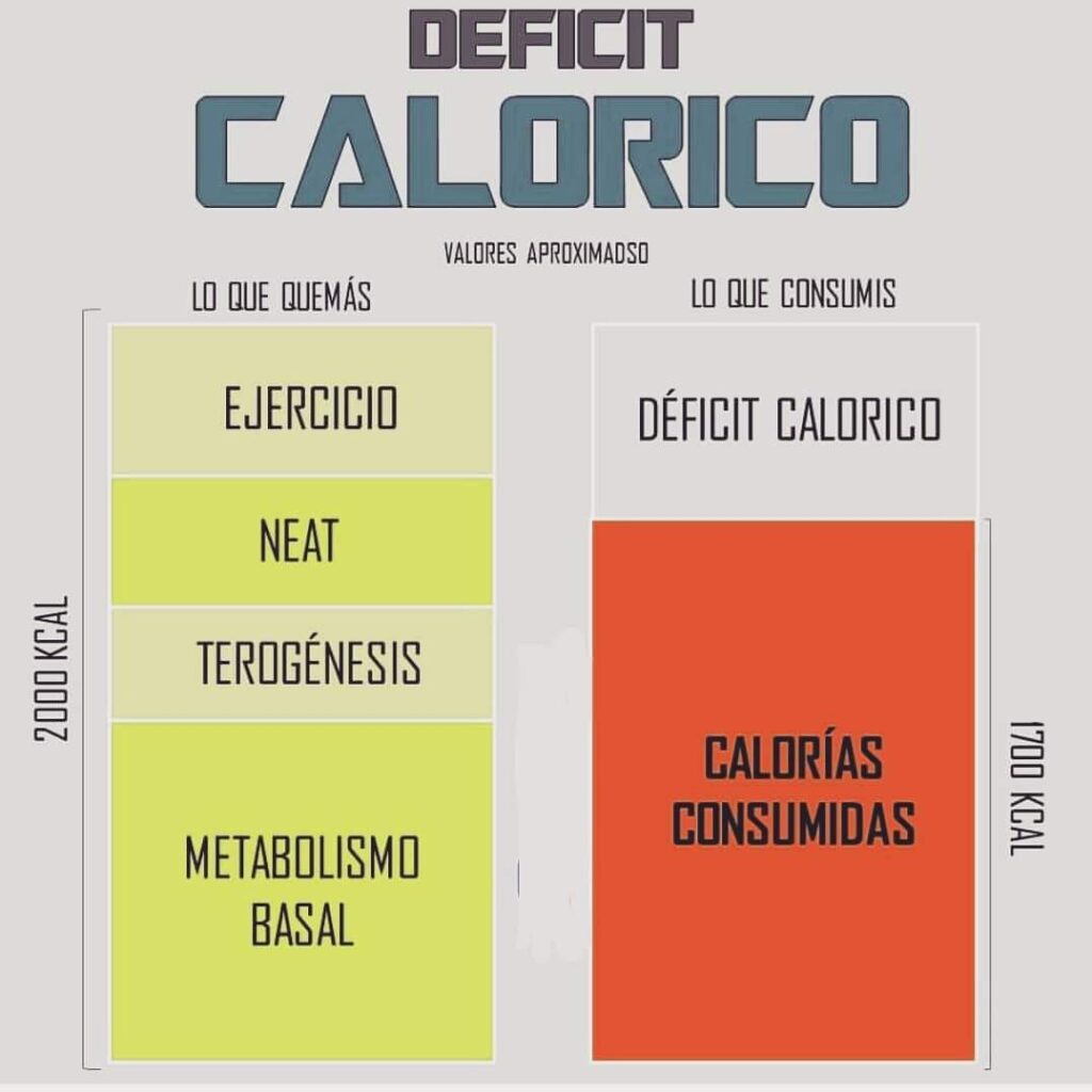 DÉFICIT CALÓRICO: EL SECRETO PARA PERDER PESO - Salud Diez