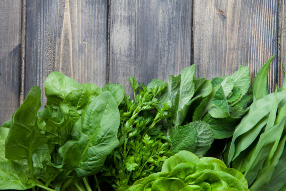 El elote (maíz) y su importancia en la alimentación - Salud Diez